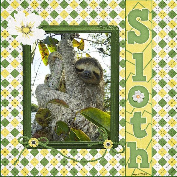 20 - April 2025 Layout Bingo -Sloth.jpg | GingerScraps Forums