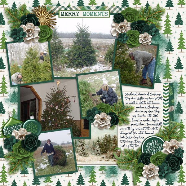 Paint Chips Evergreen with Super Six 8 Temp #4-Connie Prince.jpg ...